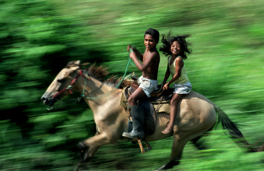 Pulitzer Prize Award Winning Photography – The Looking Glass