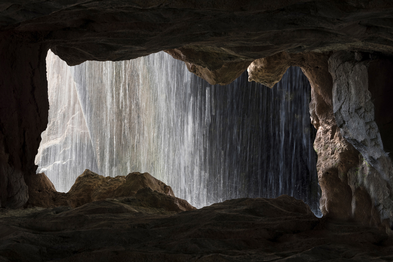 The Walrus: The Cave – The Looking Glass